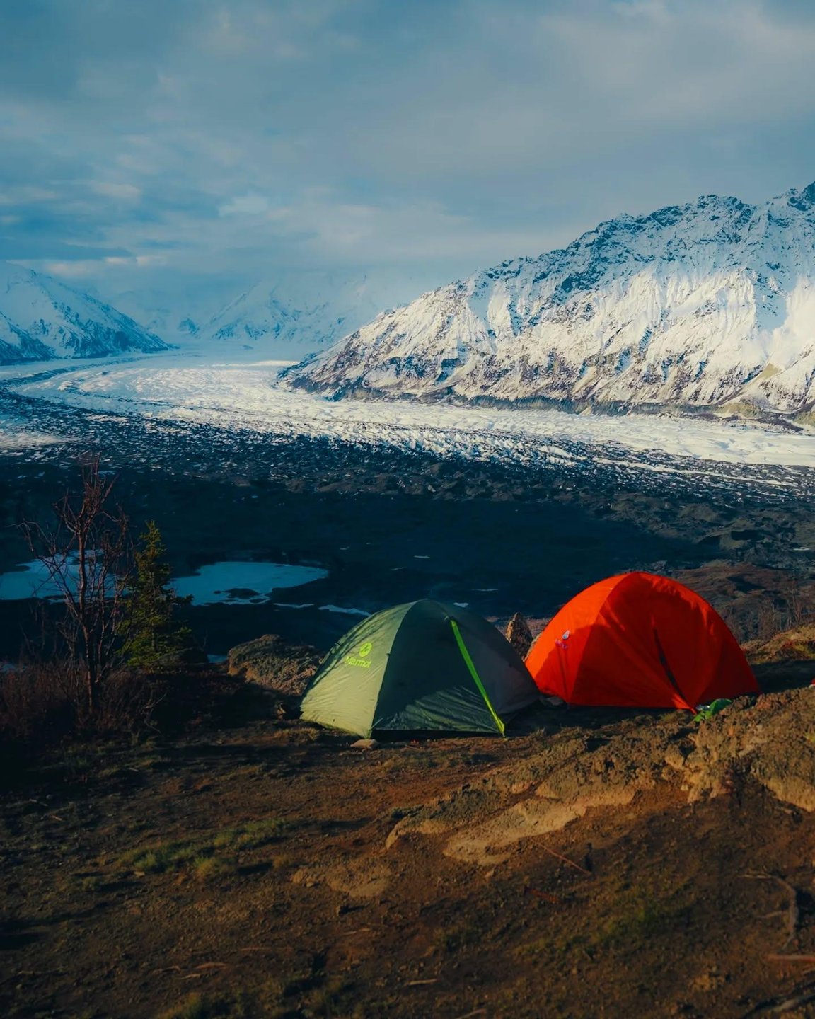 Alaska Glacier & Wildlife Cruises | Travel Alaska