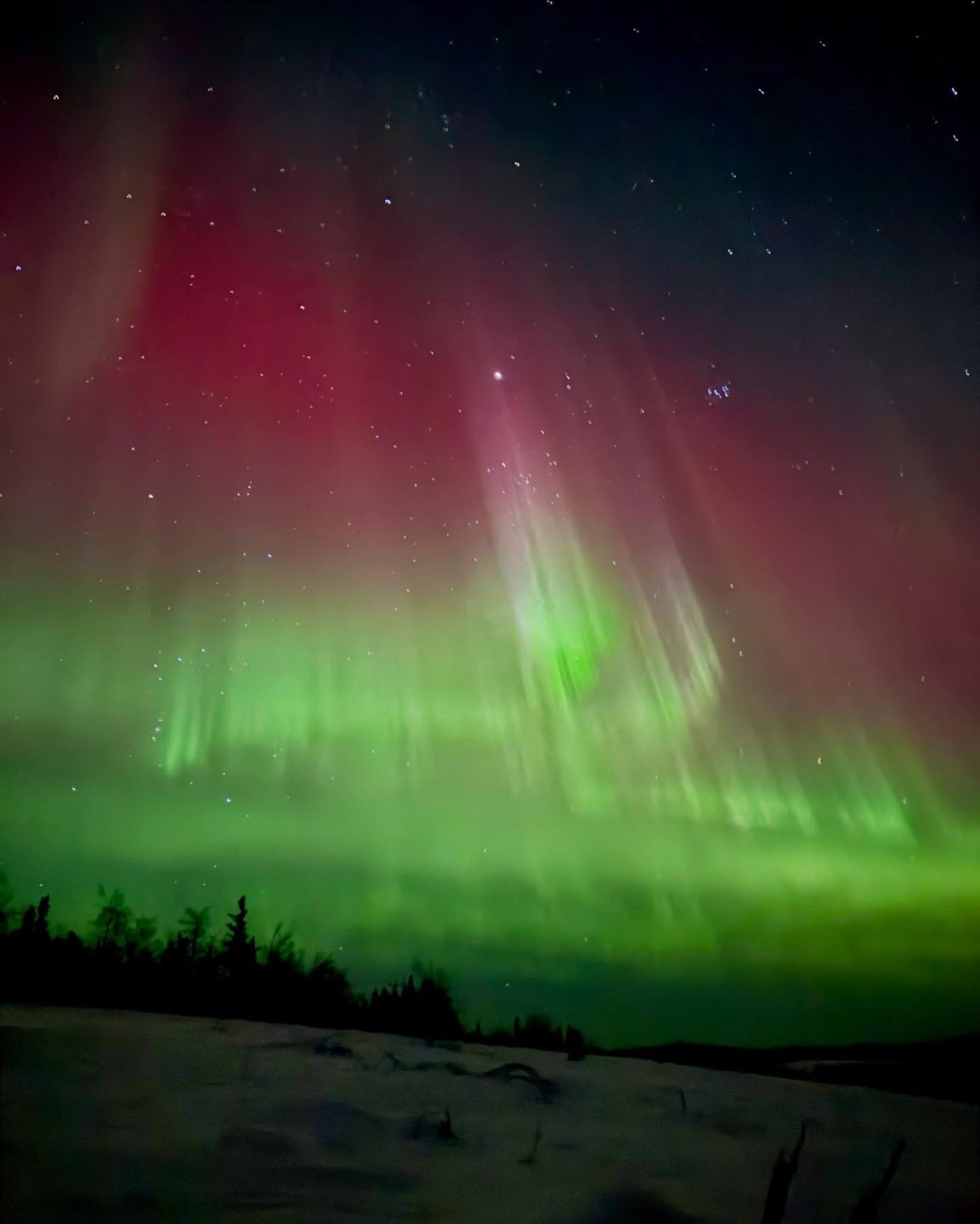 Salcha, AK | Things to Do, Recreation, & Travel Information | Travel Alaska