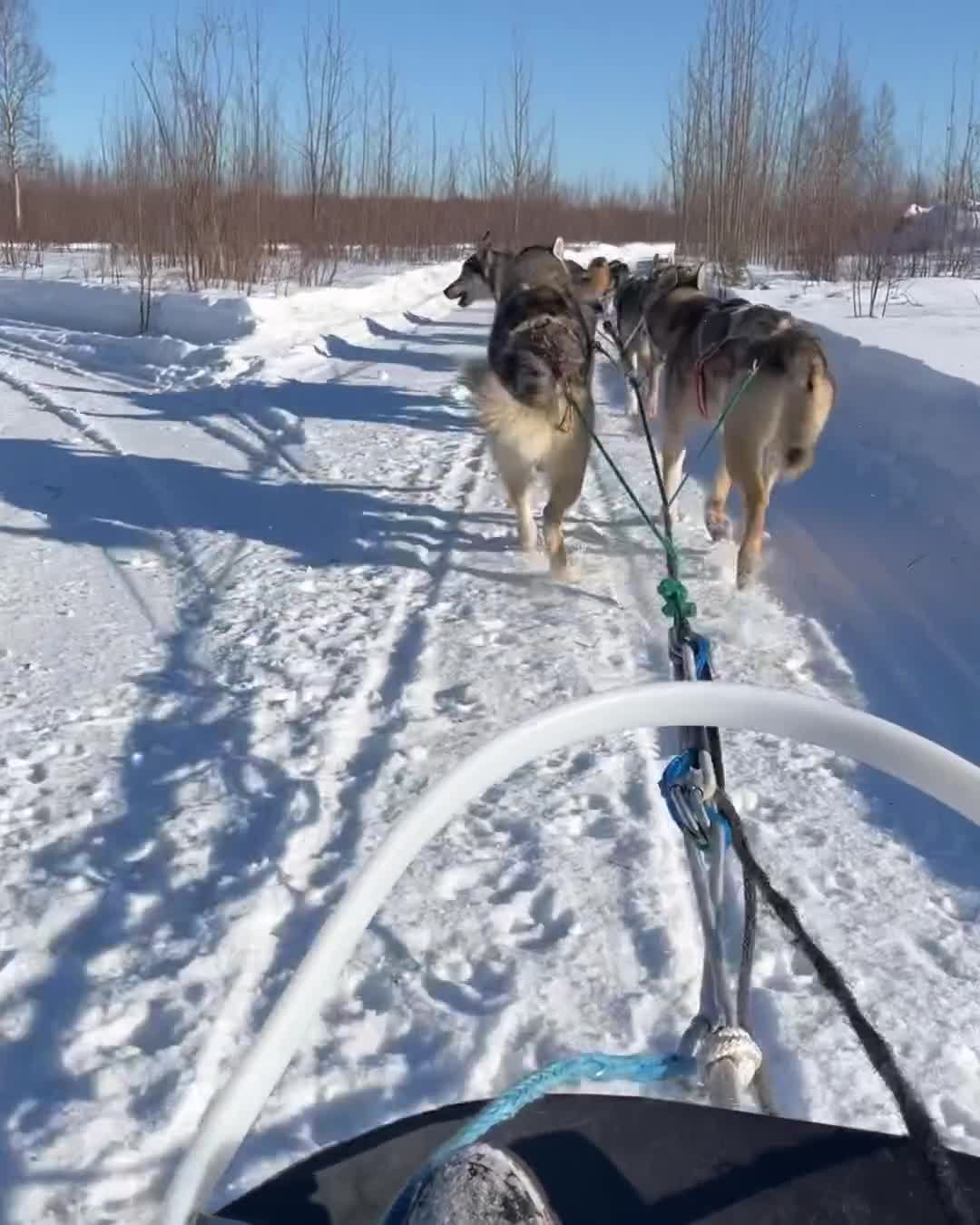 Alaska Adventure Tours | Travel Alaska