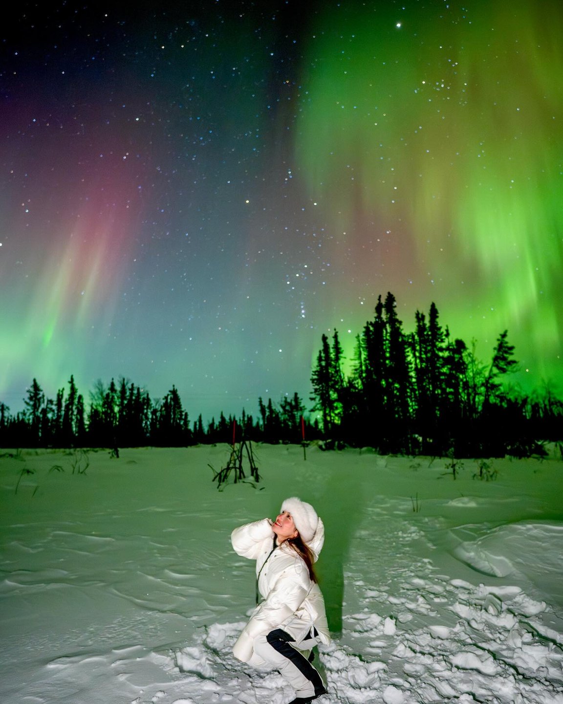 Salcha, AK | Things to Do, Recreation, & Travel Information | Travel Alaska