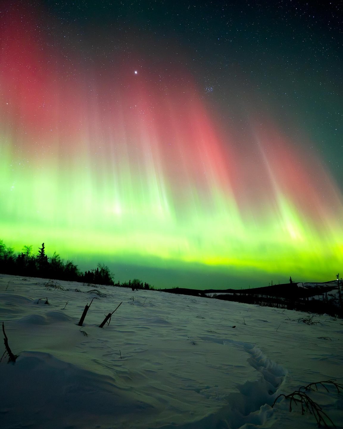 Salcha, AK | Things to Do, Recreation, & Travel Information | Travel Alaska