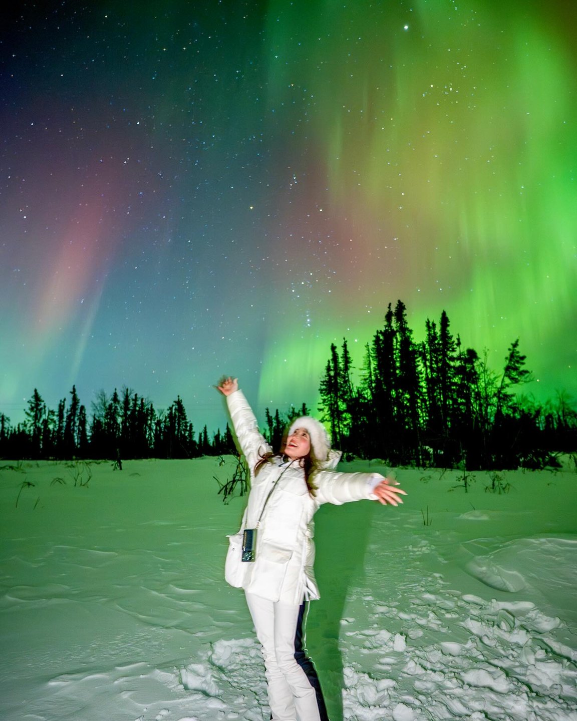 Salcha, AK | Things to Do, Recreation, & Travel Information | Travel Alaska