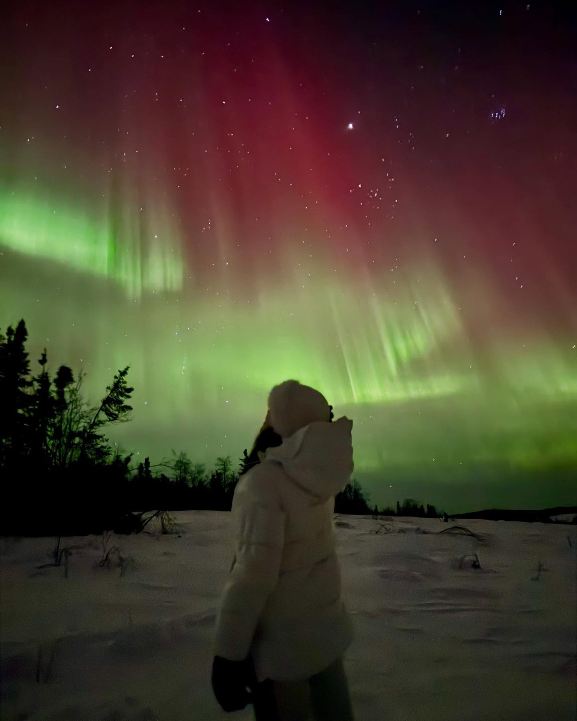 Alaska's Interior Region | Travel Alaska