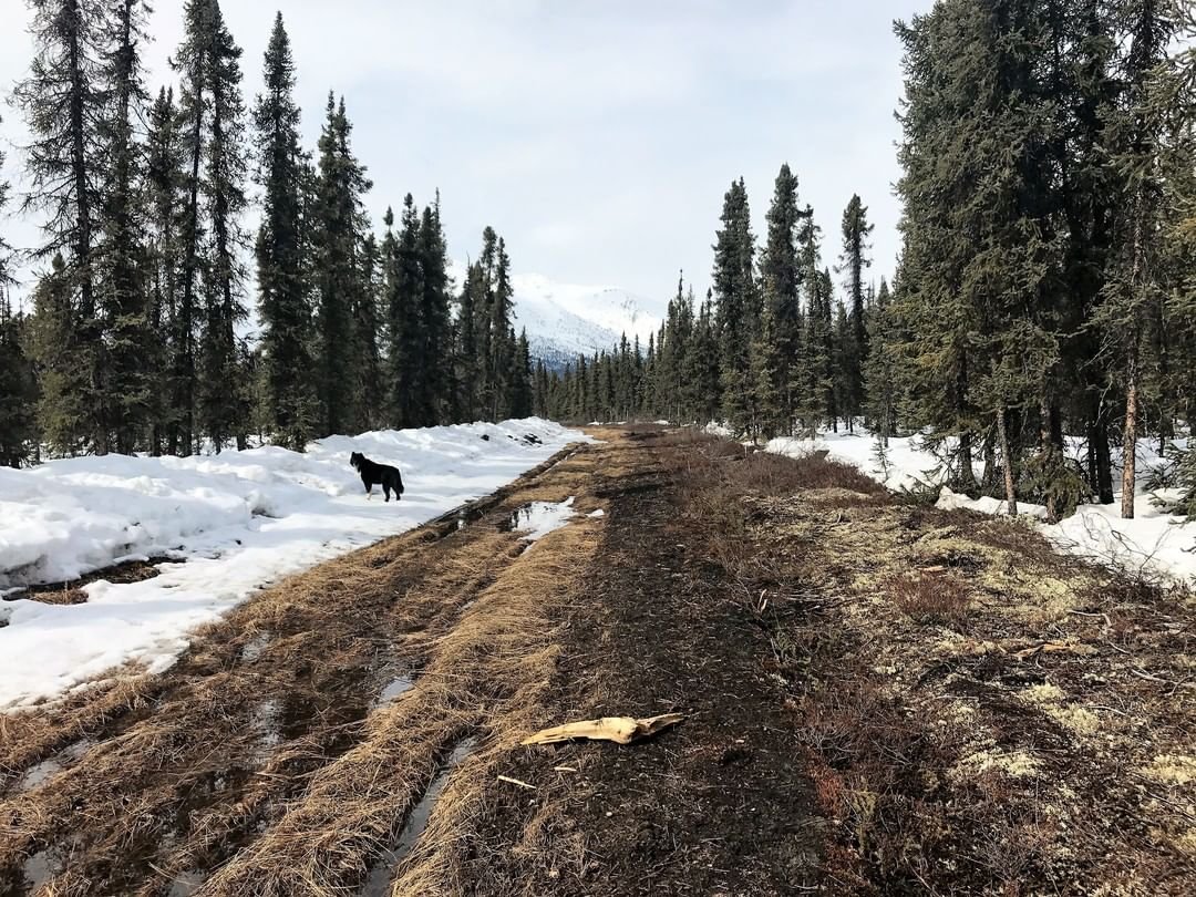 Coldfoot, AK | Things to do, Recreation, & Travel Information | Travel ...