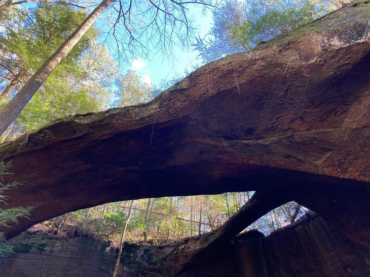 Natural Bridge Alabama Natural Bridge Park: A Hidden Gem In Alabama