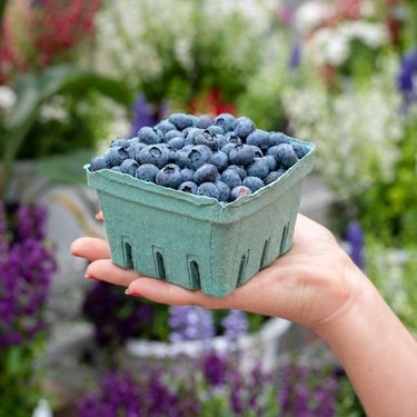 Heeman’s | Ontario Culinary