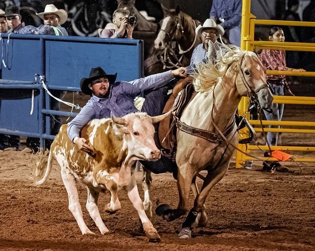 Phoenix Bull Riding Rodeo Phoenix 2025 | Discover Rodeo Events
