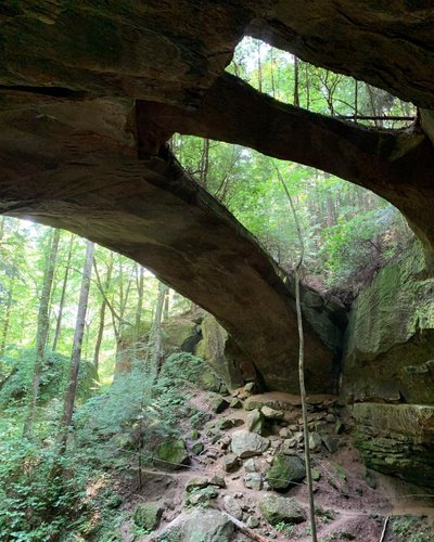 Natural Bridge Alabama Natural Bridge Park: A Hidden Gem In Alabama