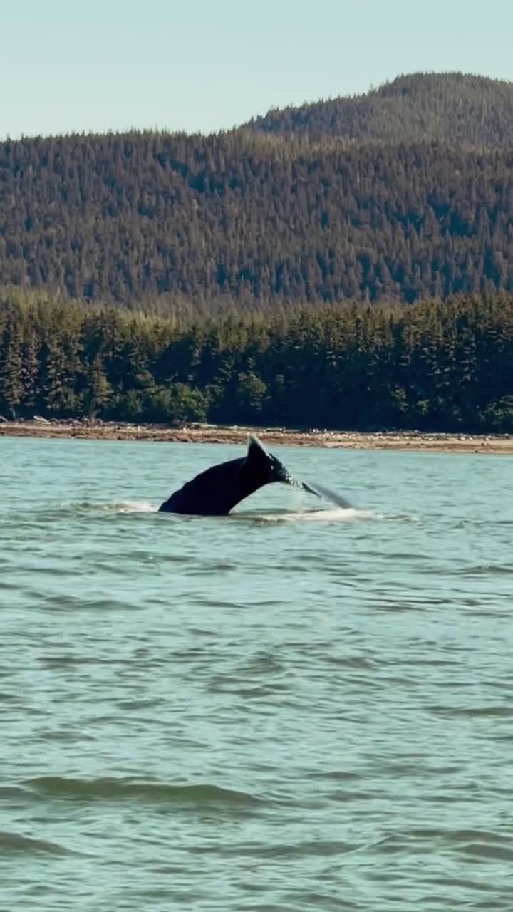 Whittier, AK | Things to Do, Recreation, & Travel Information | Travel ...