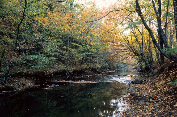 Watson Mill Bridge Park