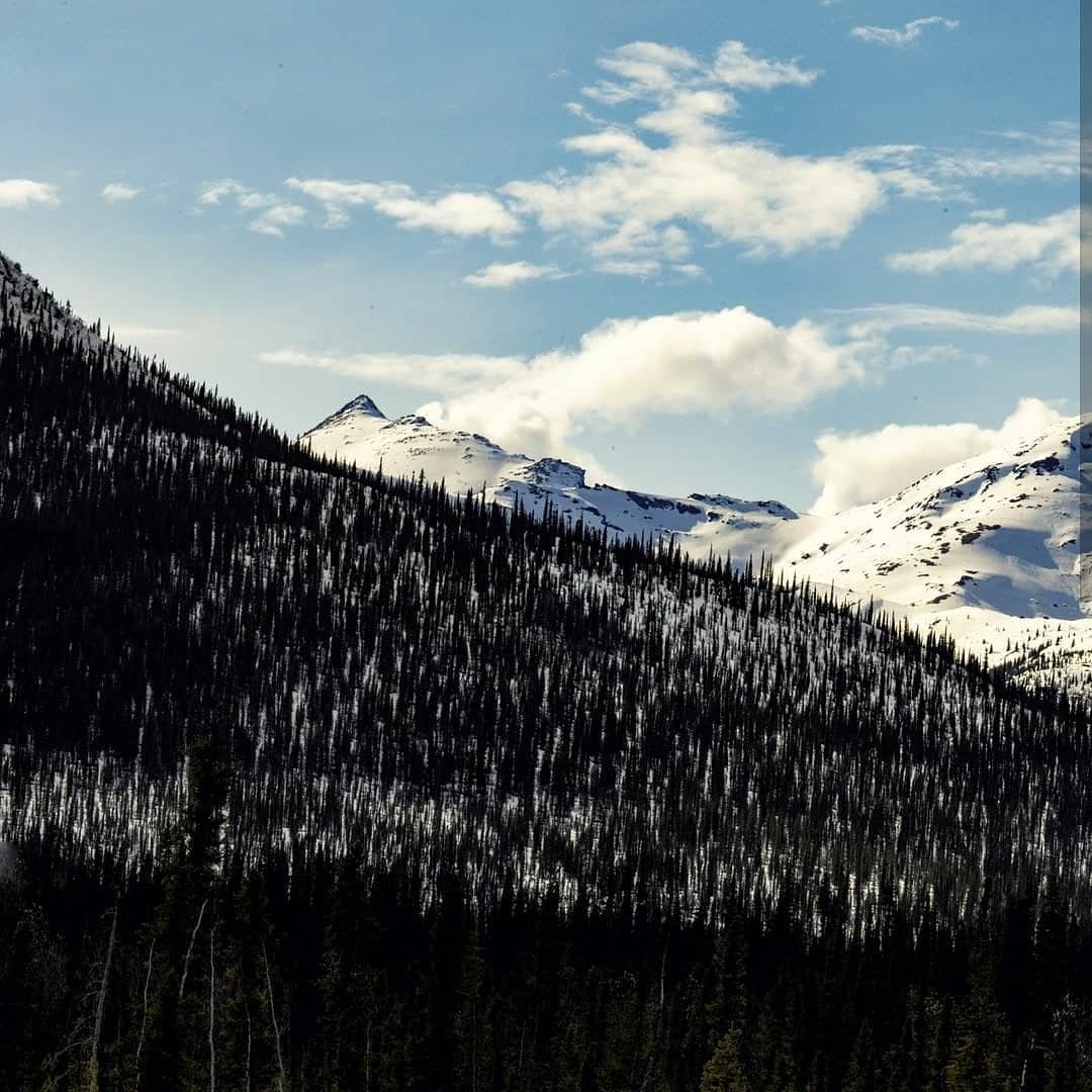 Coldfoot, AK | Things to do, Recreation, & Travel Information | Travel ...