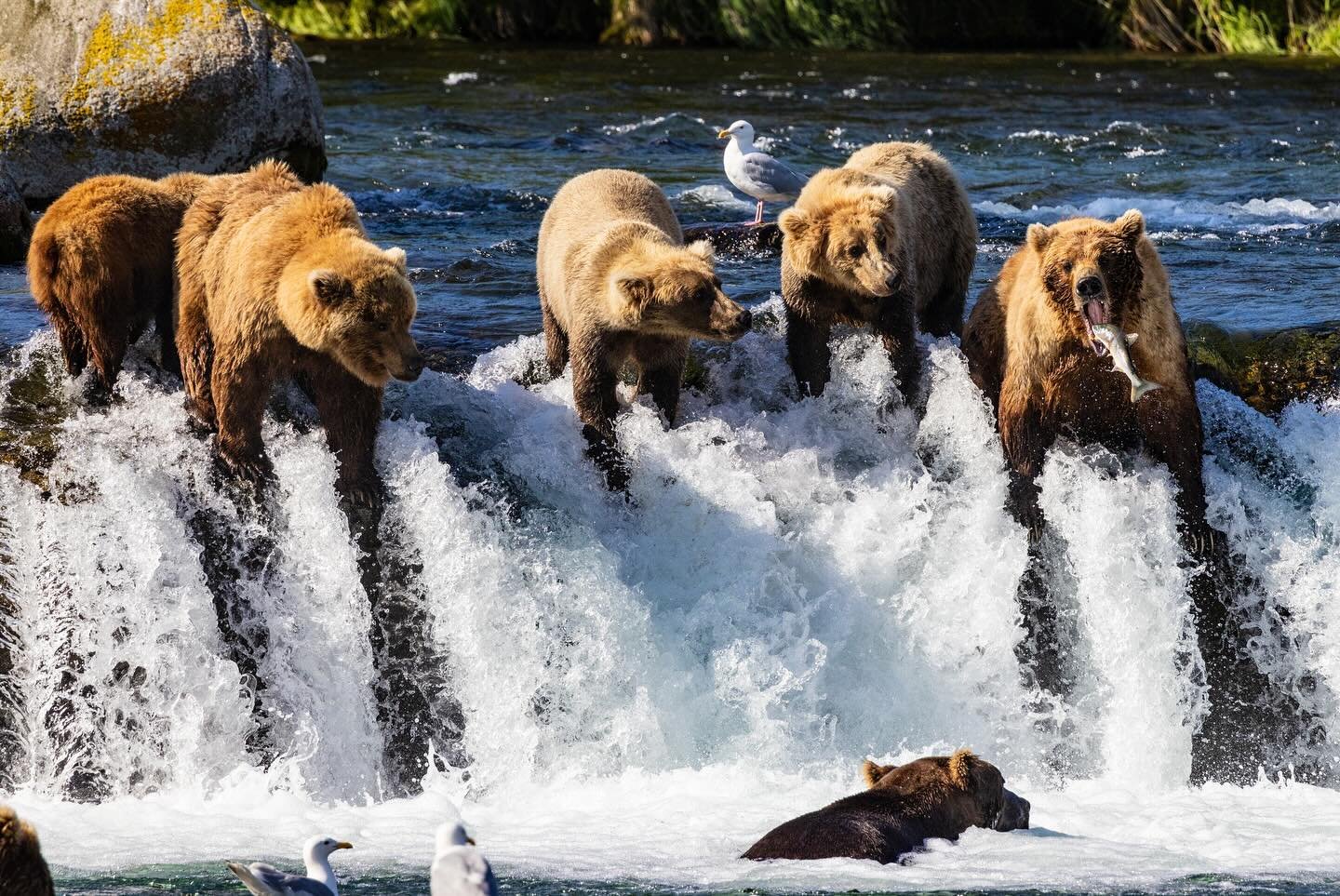 Katmai National Park & Preserve, Alaska | Travel Alaska