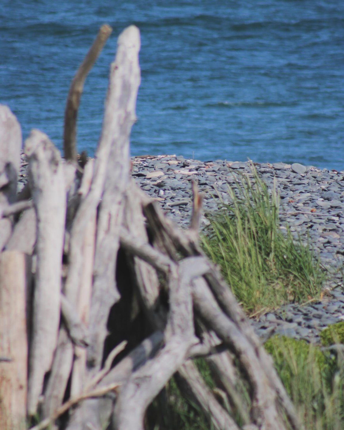 Pribilof Islands, AK | Things to Do, Recreation, & Travel Information ...