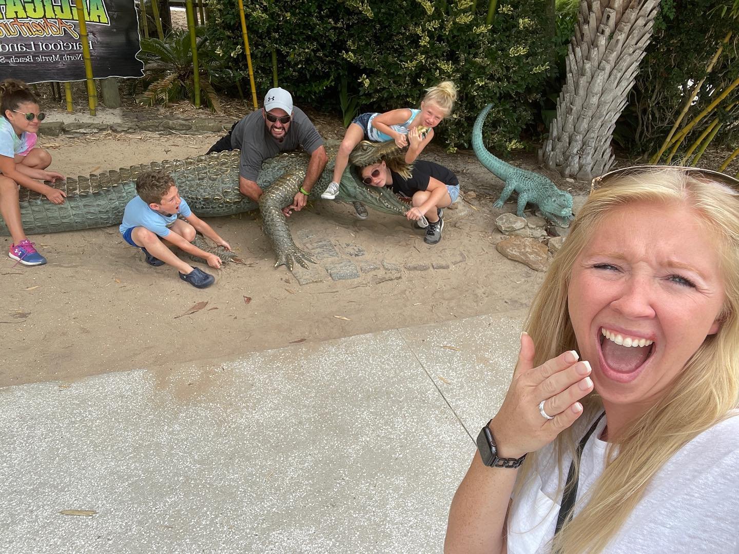 Alligator Myrtle Beach Attractions