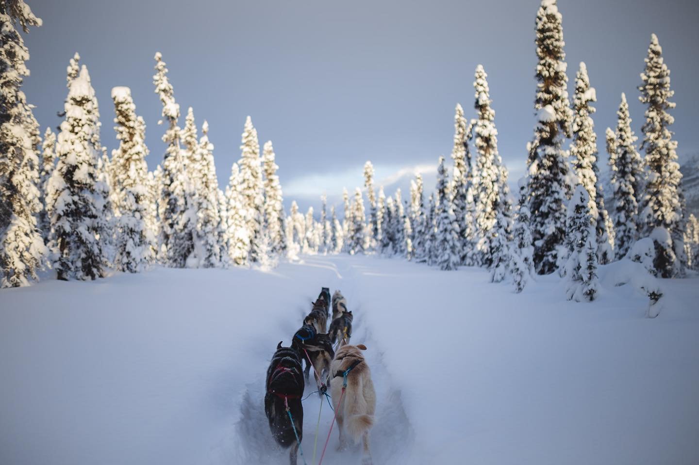 Wiseman, AK | Things to Do, Recreation, & Travel Information | Travel ...