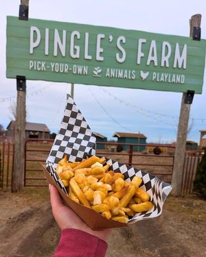 Pingle’s Farm Market | Ontario Culinary