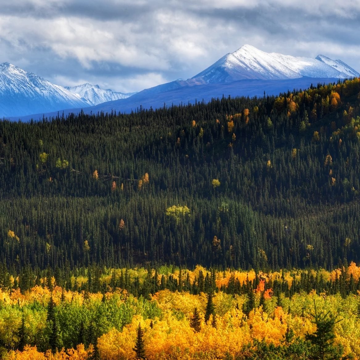 Coldfoot, AK | Things to do, Recreation, & Travel Information | Travel ...