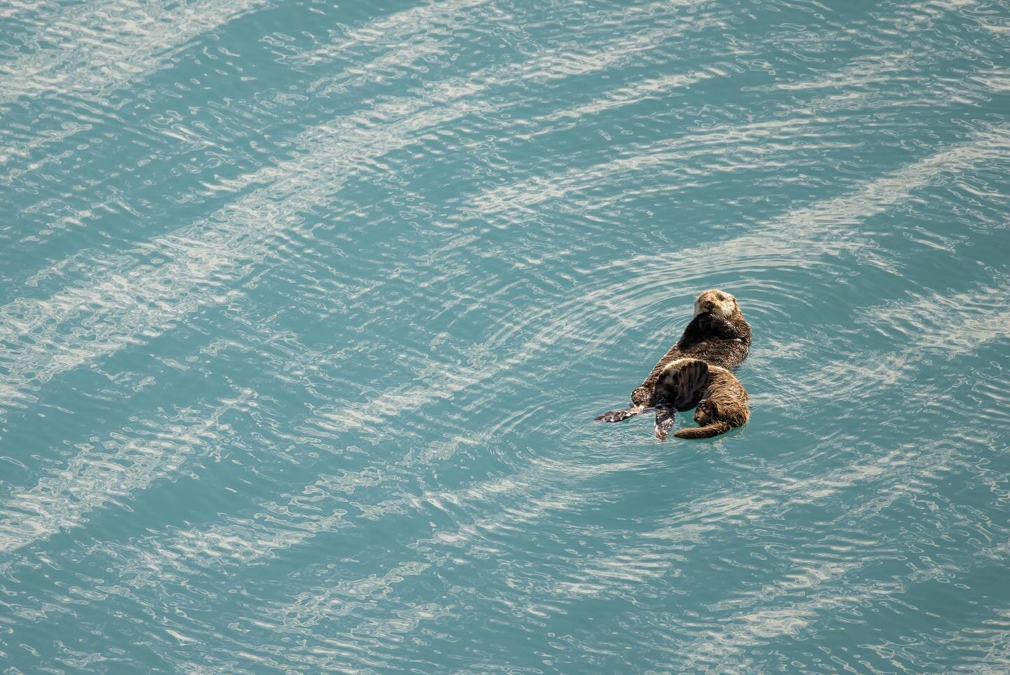 Pribilof Islands, AK | Things to Do, Recreation, & Travel Information ...