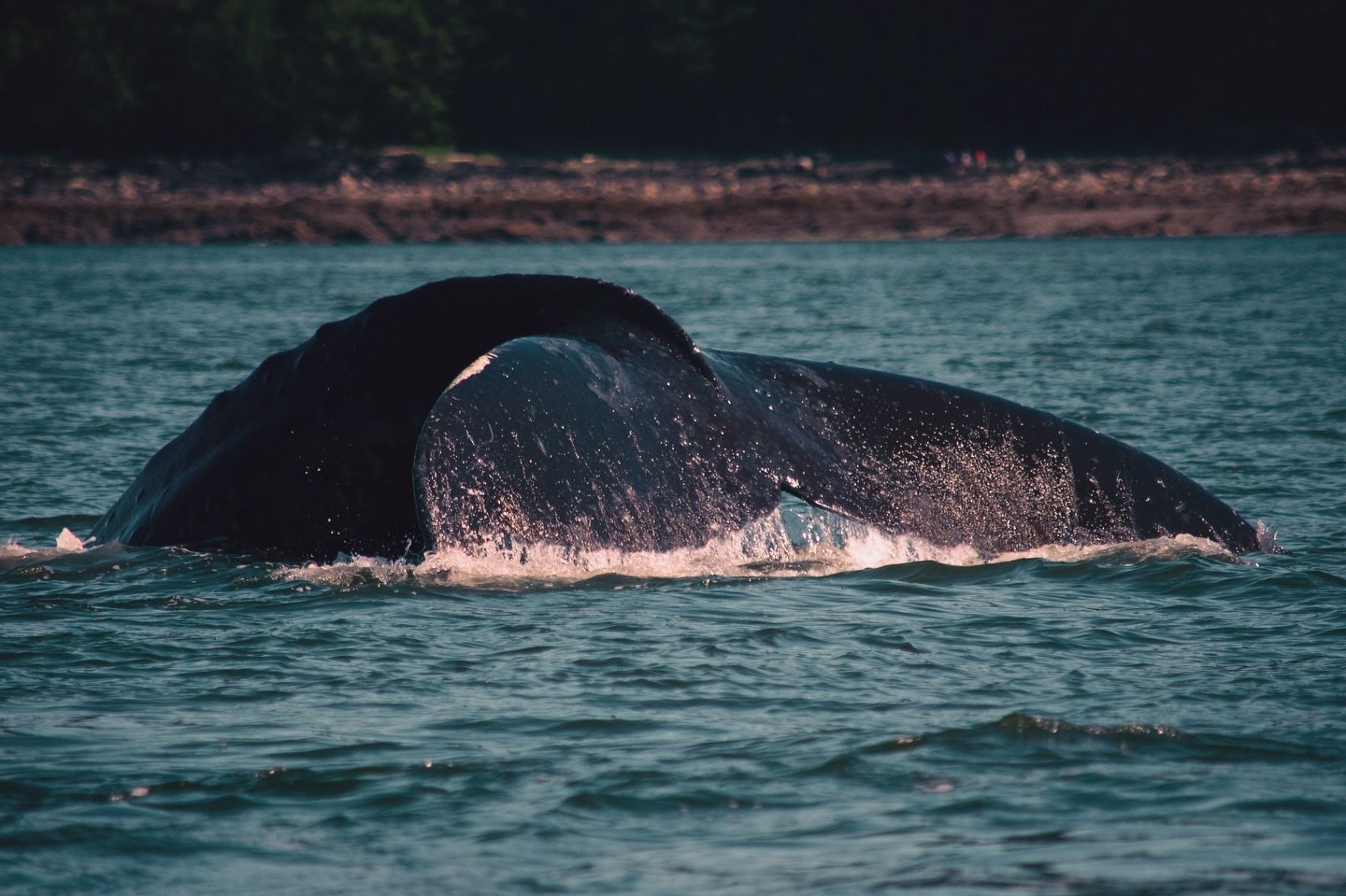 Whittier, AK | Things to Do, Recreation, & Travel Information | Travel ...