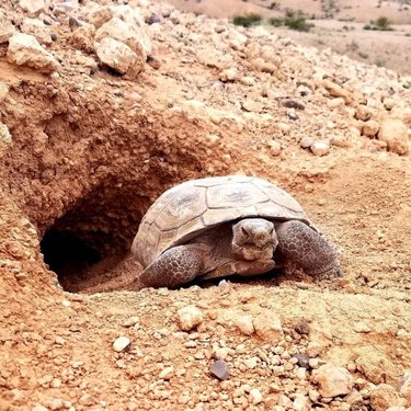 How to Safely Enjoy Nevada's Outdoors | Recreate Responsibly